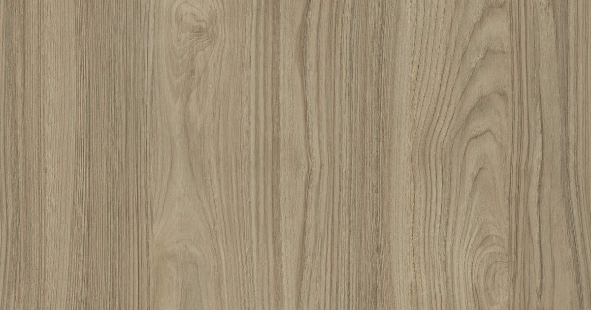 Spiry Elm | NOVODECOR